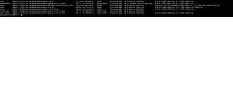 metersphere 服务一直启不起来 MeterSphere 社区论坛 FIT2CLOUD 飞致云
