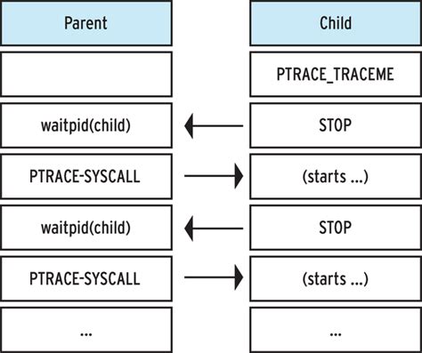 Demystifying The Elf Format Unveiling The Secrets Of Binary
