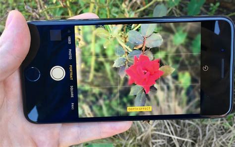 Iphone 7 Plus Portrait Mode Impressions On Ios 101 Beta Photos