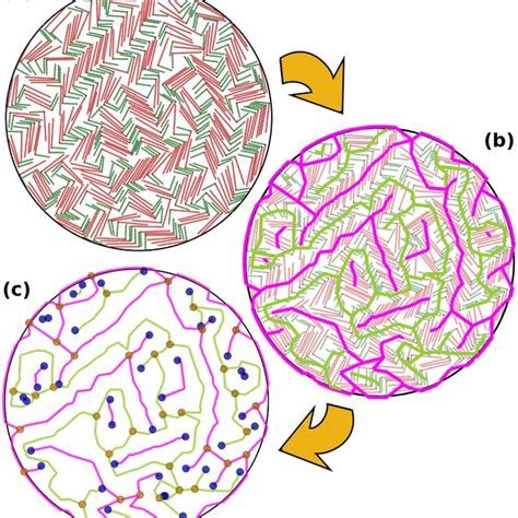 Circularly Confined L Particles On Different Levels Of Coarse Graining Download Scientific