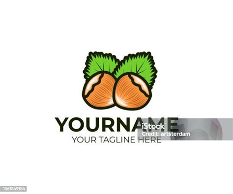 헤 즐 넛 잎 로고 디자인입니다 너트 영양과 과일 잎 벡터 디자인 천연 유기농과 채식 음식 일러스트 레이 션 로고에 대한 스톡