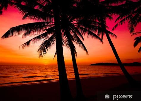 Fotobehang Palmbomen Silhouet Op Zonsondergang Tropische Strand