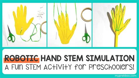 Robotic Hand Stem Simulation