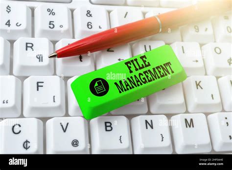 Writing Displaying Text File Management Concept Meaning Computer