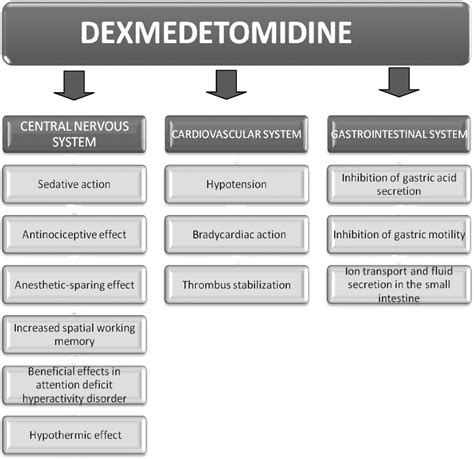Figure 1 From Interaction Between Dexmedetomidine And Cid1 Adrenergic Receptors Emphasis On