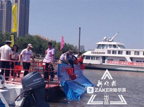 施氏鱘、鰱、鱅等 25 萬公斤 20 萬尾魚苗放流松花江 每日頭條
