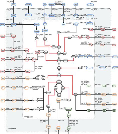 A Schematic Representation Of The Carbon Utilization Pathways For Download Scientific Diagram