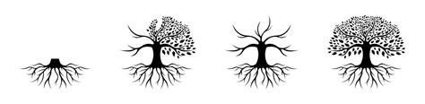 Tree Of Life Logo Design Inspiration Isolated On White Background Black Oak Tree Logo And Roots