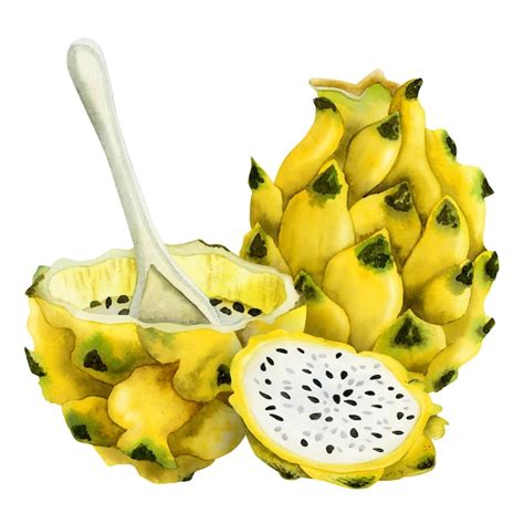 Premium Photo Yellow Dragon Fruit Dessert Watercolor Illustration