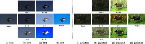 Figure 1 From A Semi Supervised Underexposed Image Enhancement Network With Supervised Context