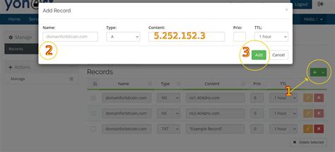 What Is DNS And How To Point Domain To The Hosting