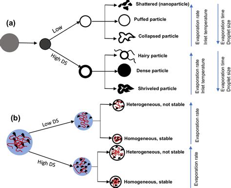 Different Avenues Of Particle Formation From Standpoints Of A