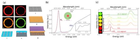 Nanomaterials Free Full Text Field Manipulations In On Chip Micro