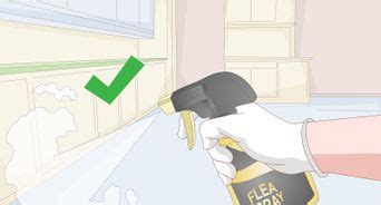 How To Detect Fleas Steps With Pictures WikiHow
