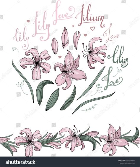 Lily Endless Horizontal Border Objects Isolated เวกเตอร์สต็อก ปลอดค่าลิขสิทธิ์ 1565298832