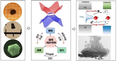 拓扑催化 磁性变相材料团队 Spin Physchemnimteaccn