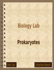 Prokaryotes Biology Lab Prokaryotes Start Lab Complete Report Sheet Instructions For Lab