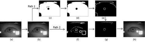 Edge Map Generation For Pupil Boundary Detection A Iris Image Download Scientific Diagram