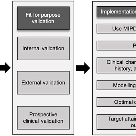 Schematic Workflow Of Model Informed Precision Dosing Implementation Download Scientific