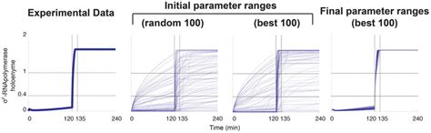Predictive Value Of The Optimized Parameter Sets For The Physiological