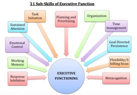 Executive Functions Executive Functioning Skills Executive Functioning Metacognition