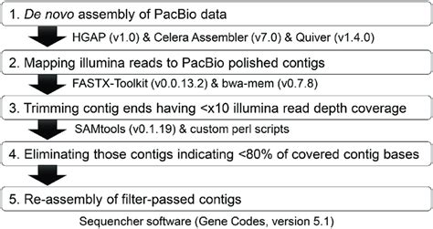 Procedure For Reassembly Of Pacbio And Illumina Data Download