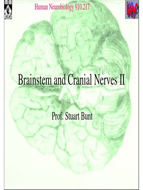 PDF Cranial Nerves Slides DOKUMEN TIPS
