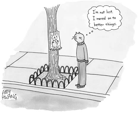 Cats Watching You Have Sex