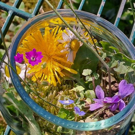 Gremlincore Tumblr Communities