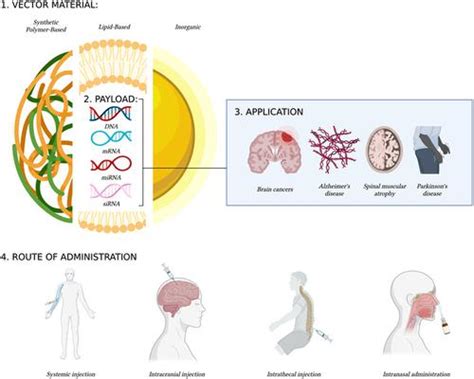 非病毒纳米颗粒基因递送至中枢神经系统用于神经系统疾病和脑癌应用 Wires Nanomedicine And Nanobiotechnology X Mol