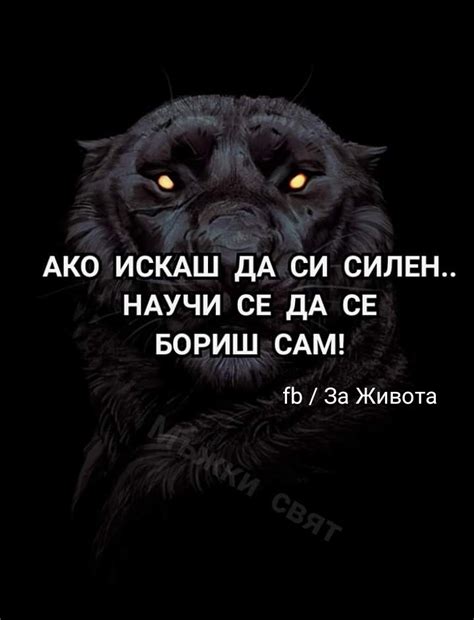 Поезия с цвят на тиха обич Той животът Обичам си живота такъв какъвто е Весел тъжен хубав