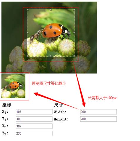 Jquery 图片剪裁插件使用之 Imgareaselect Csdn博客
