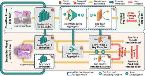 figure 1 from rethinking multiple instance learning for whole slide image classification a bag