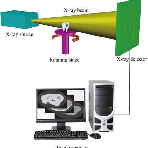 Schematic Representation Of Micro Computed Tomography Imaging Download Scientific Diagram