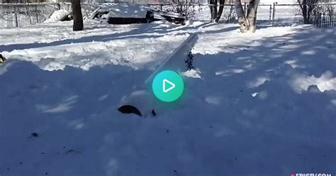 Face Grind  On Imgur