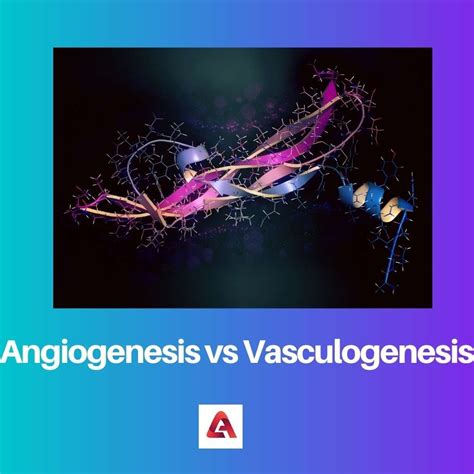 Angiogenesis Vs Vasculogenesis Difference And Comparison