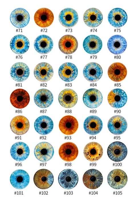 Custom Sex Doll Zlovedoll