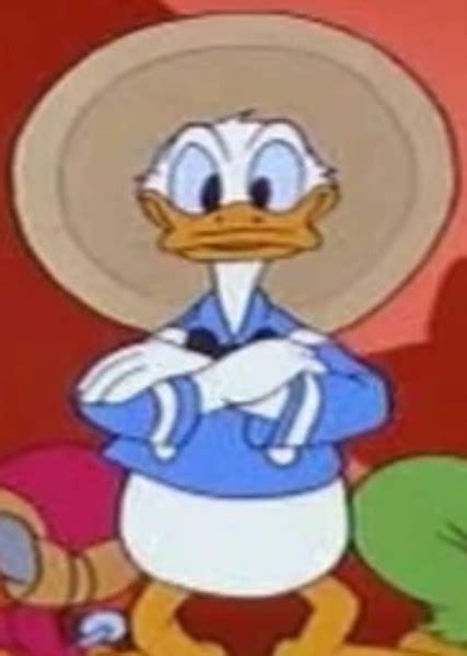 Fan Casting Donald Duck As The Three Caballeros In Sorting Disney