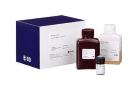مشخصات ، قیمت و خرید Bd Cytofixcytoperm™ Fixationpermeabilization