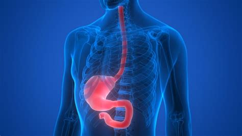 40 Facts About Esophageal Disorder