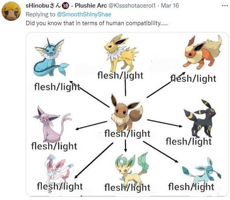Eevee Evolution Chart