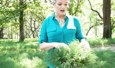 Floral Design With Tree Fern Tips Tricks Floral Greens Of Florida Coop