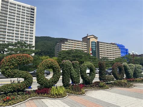 홍천 여행 비발디파크 소노벨 패밀리 파인 취사 파크뷰 온돌 후기 네이버 블로그