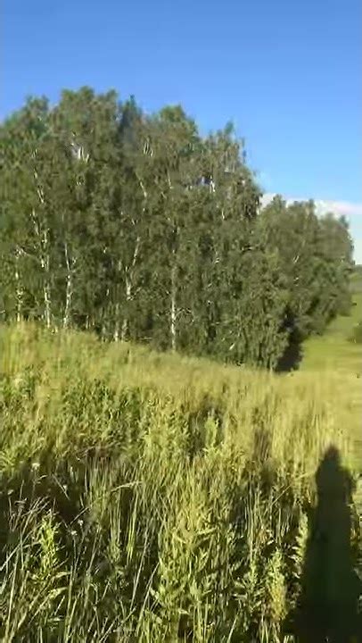Секс на природе Youtube
