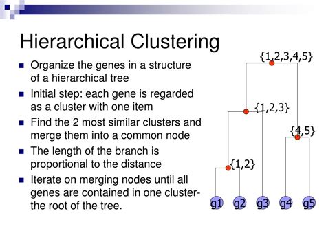 ppt lecture 9 gene expression analysis clustering powerpoint