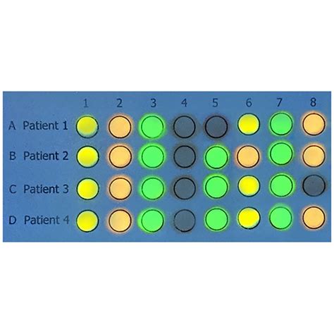 DNA RNA Microarrays BioTek