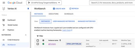 มือใหม่หัดใช้ Streamlit บน Vertex Ai Workbench สร้าง Ui สุดเจ๋งให้โมเดล