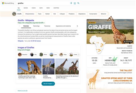 Microsoft Bing Updates Search Results Interface To Make It More