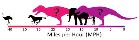 Burke Blog Science Illuminated Run T Rex Run