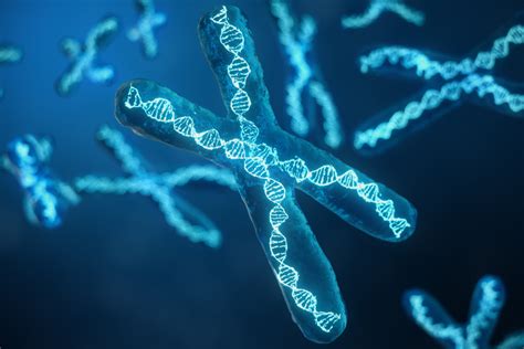 Hfe Mutations Pathology Tests Explained